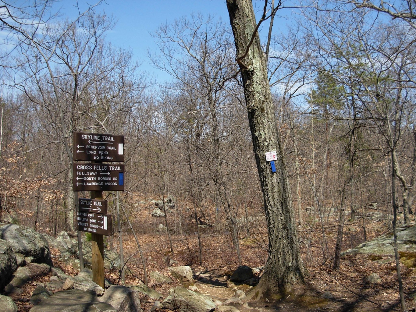 Middlesex Fells Reservation