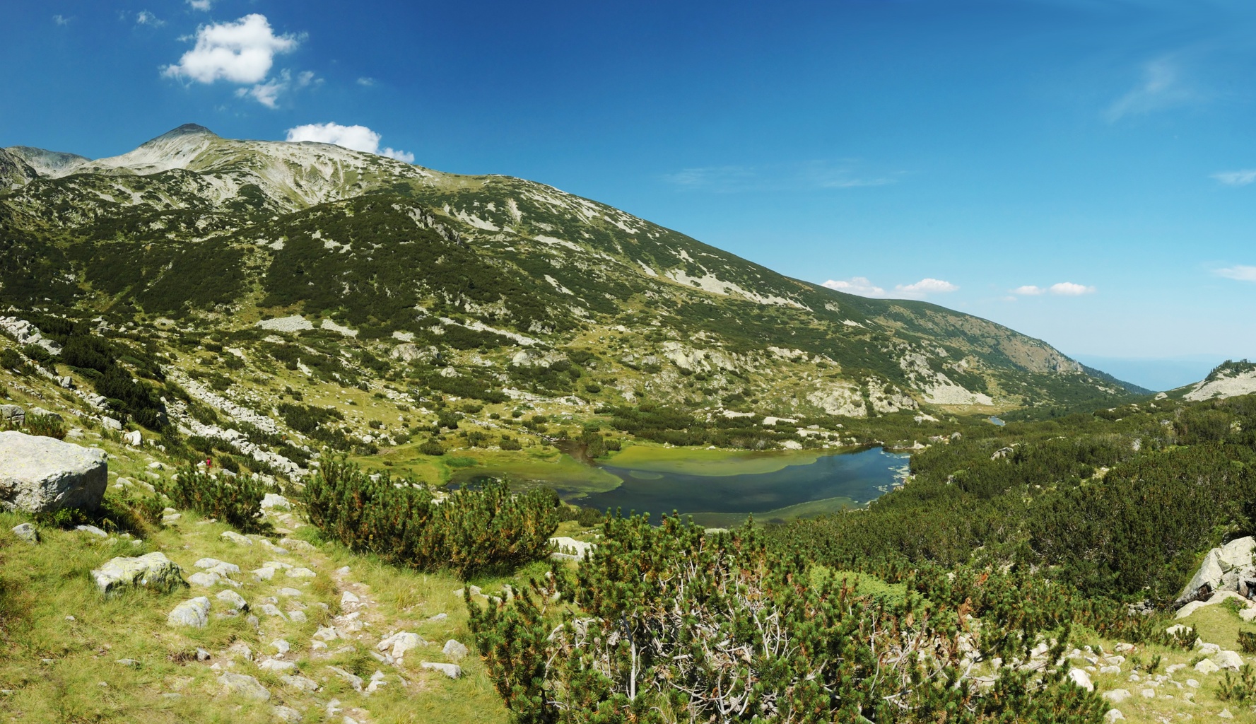 Pirin National Park