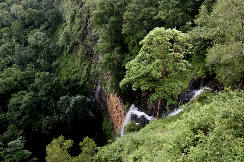 Mapleton Falls National Park