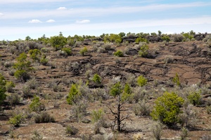 Zuni-Bandera Volcanic Field
