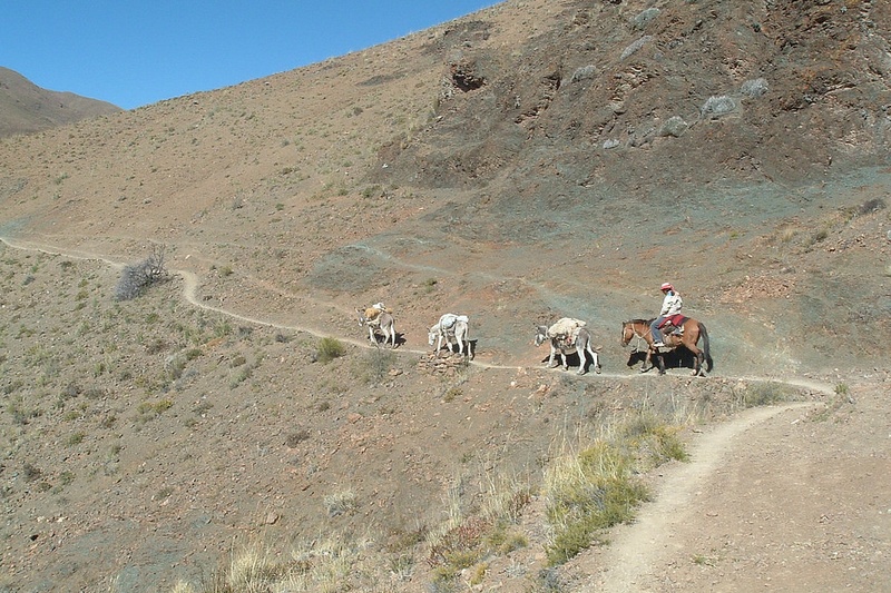 Qhapaq Ñan (Andean Road System)