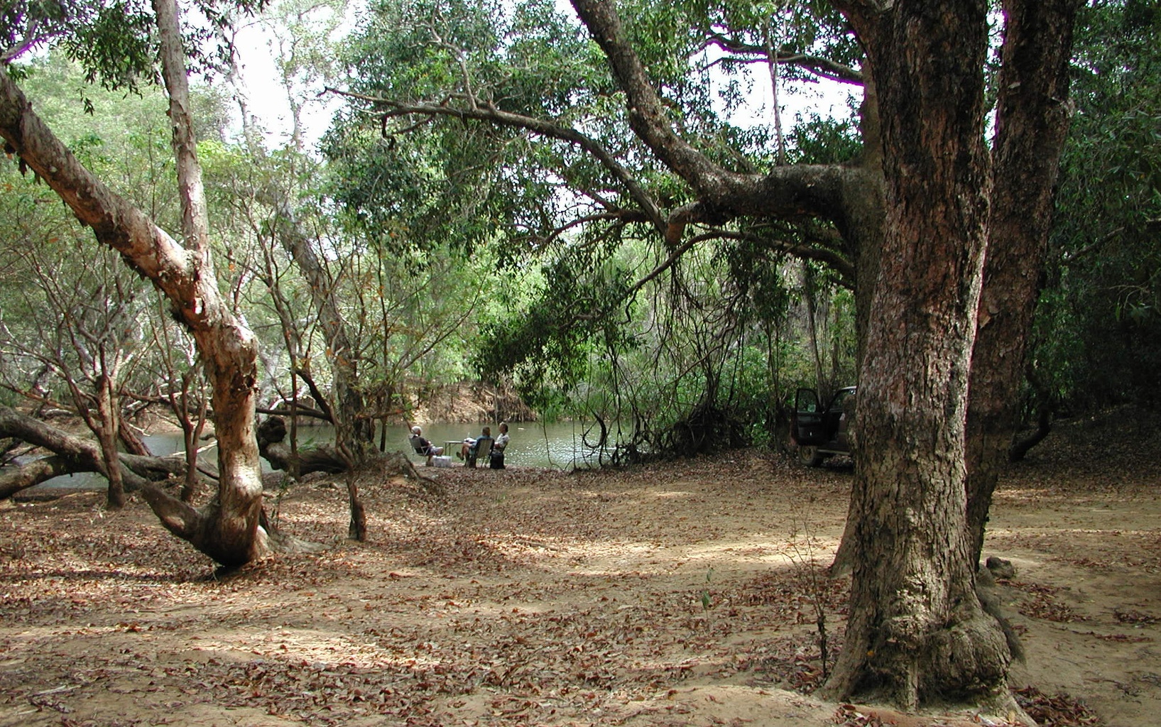 Lakefield National Park