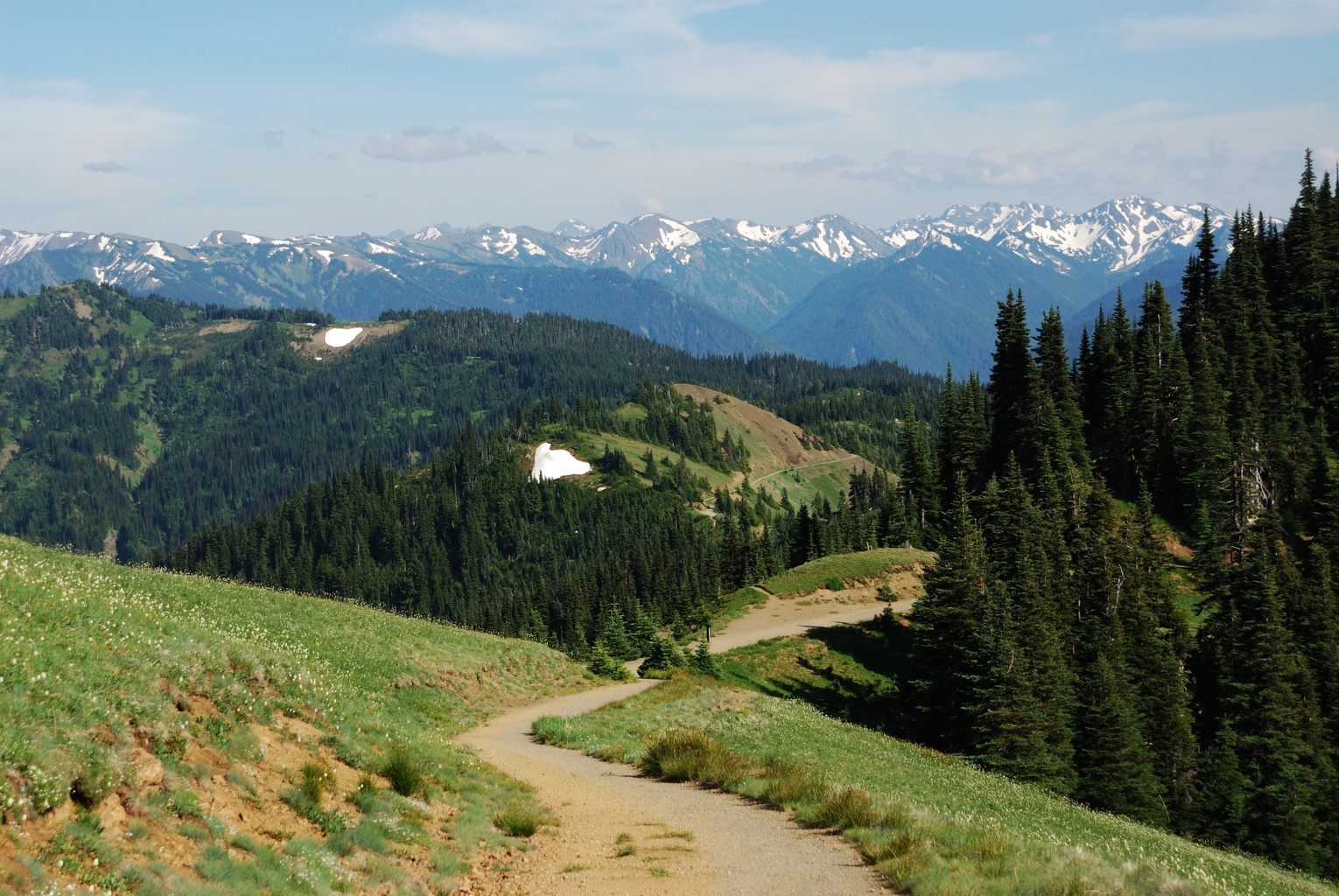 Hurricane Ridge Area