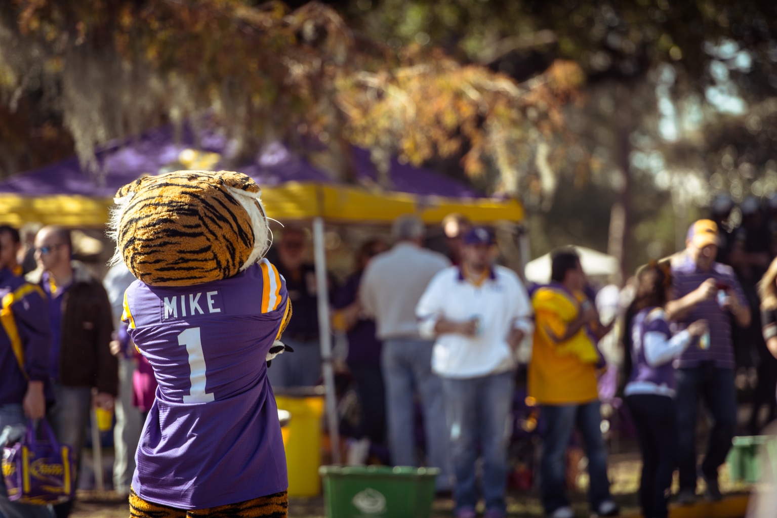LSU Tigers Game