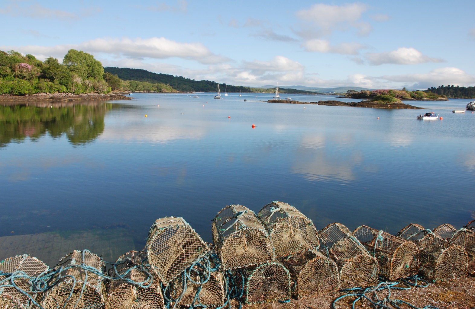 Glengarriff