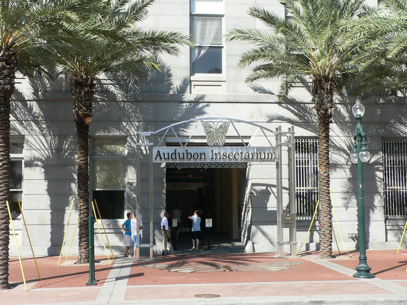 Audubon Butterfly Garden and Insectarium