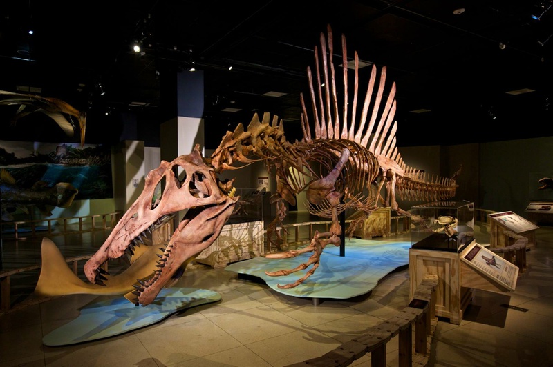 National Geographic Museum