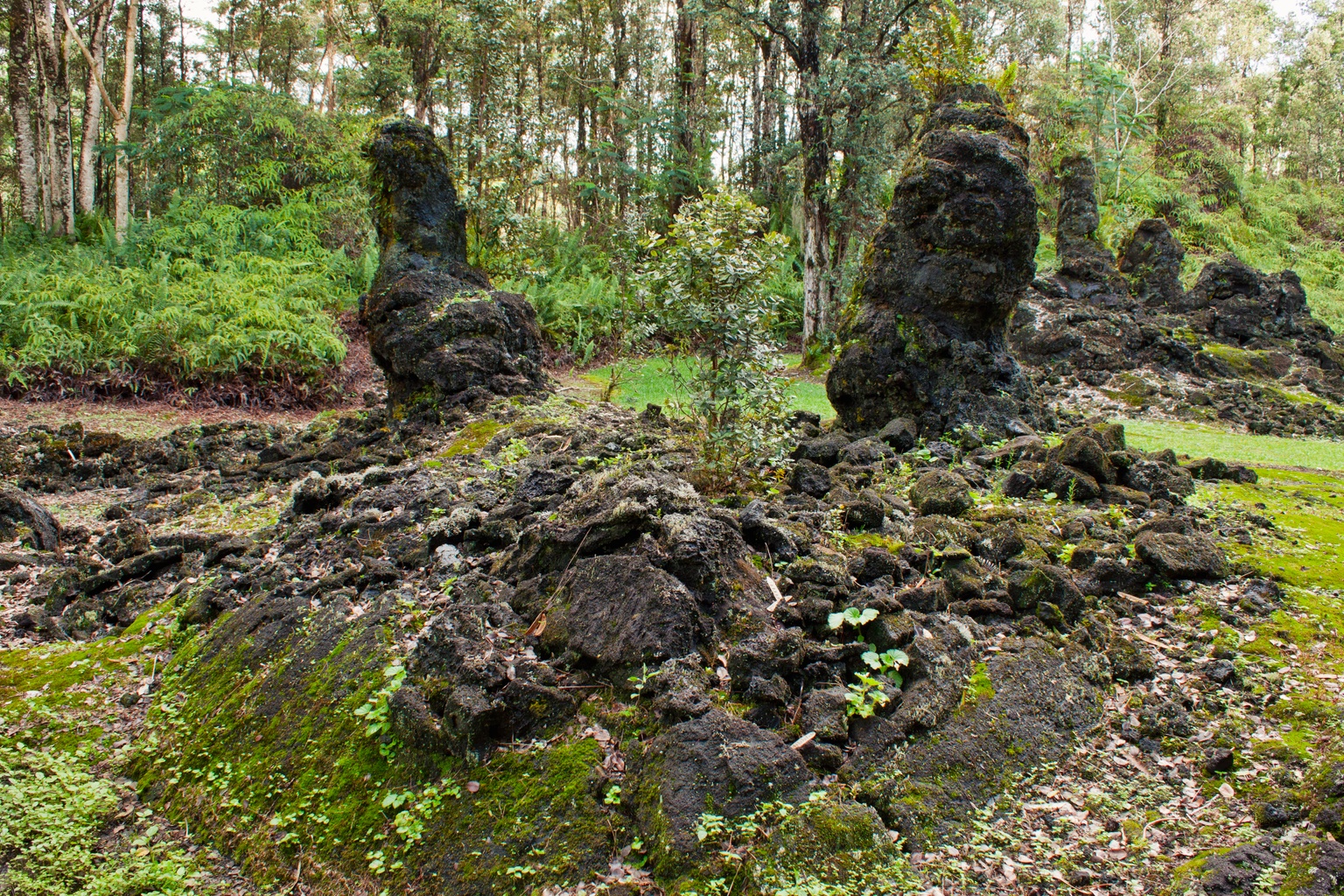Lava Tree State Monument