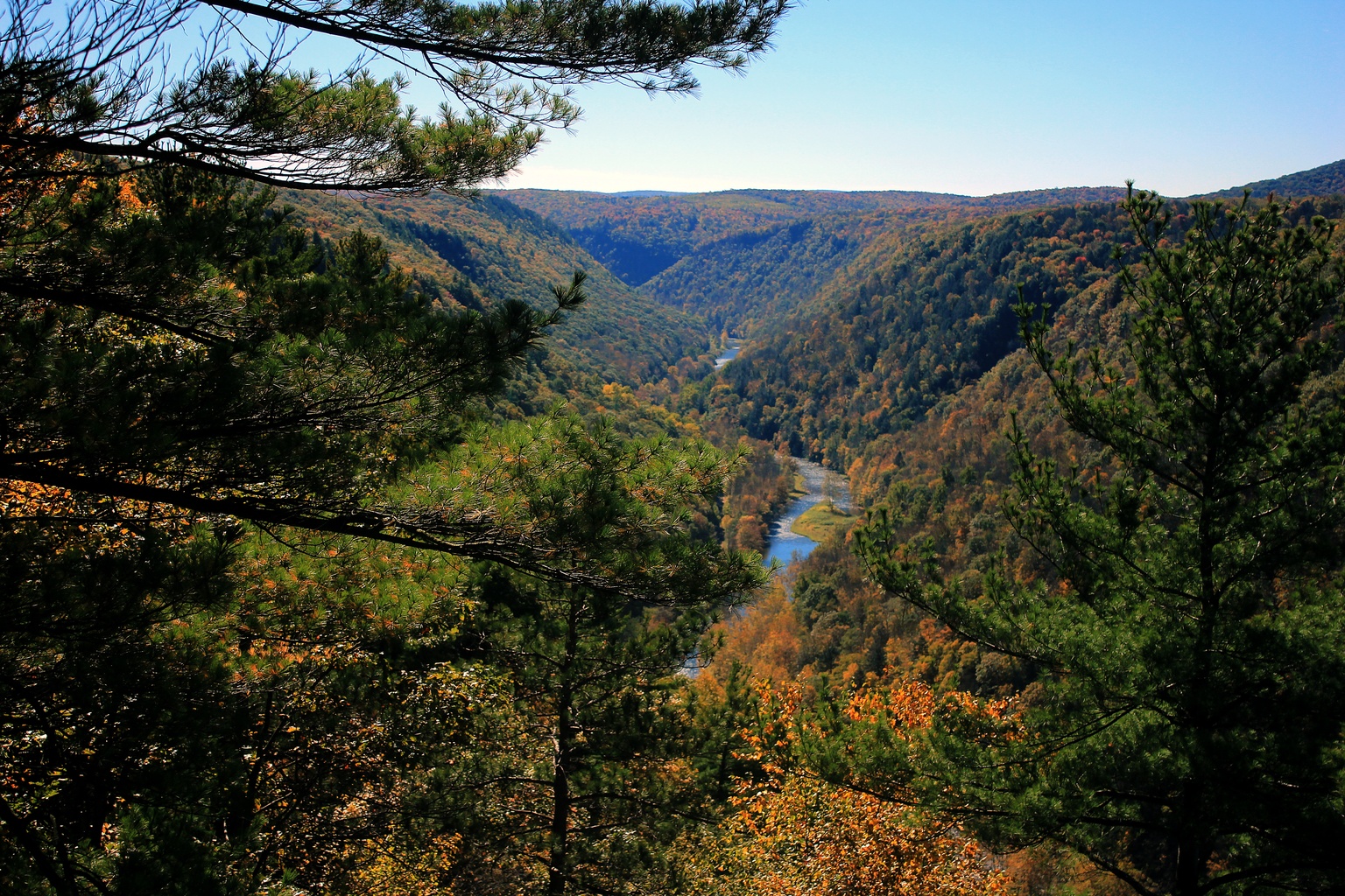 Pine Creek Gorge (The Grand Canyon of Pennsylvania)