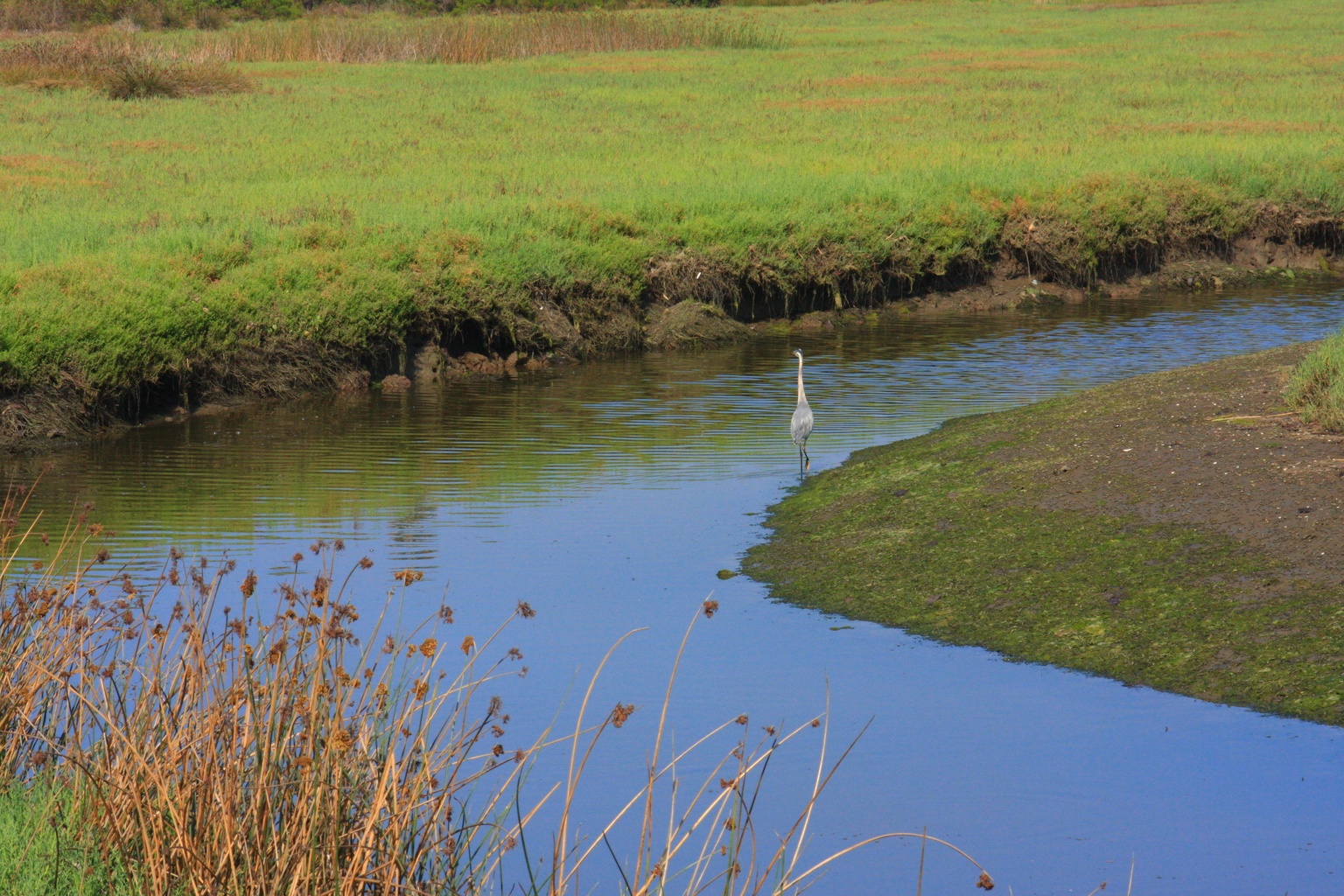 San Elijo Lagoon