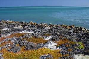 Indian Key Historic State Park