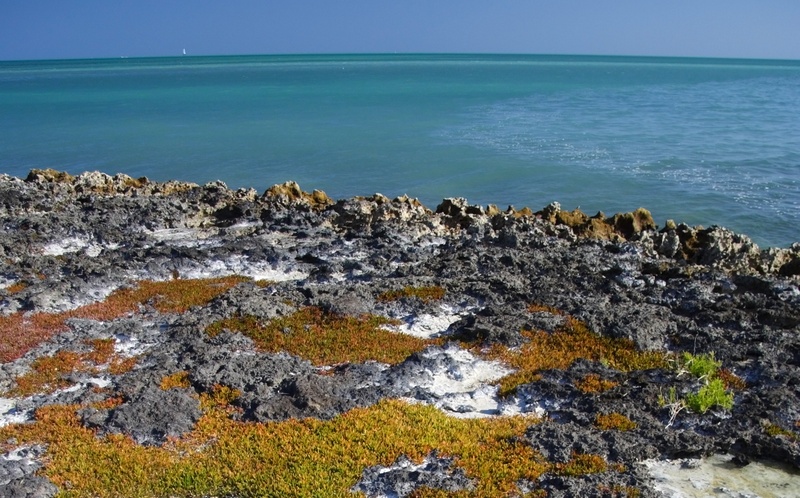 Indian Key Historic State Park