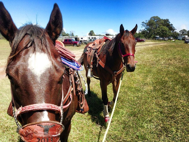 Thompson Ranch Riding Stables