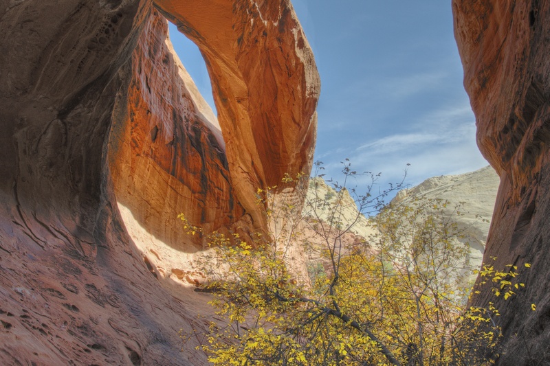 Upper Muley Twist Canyon