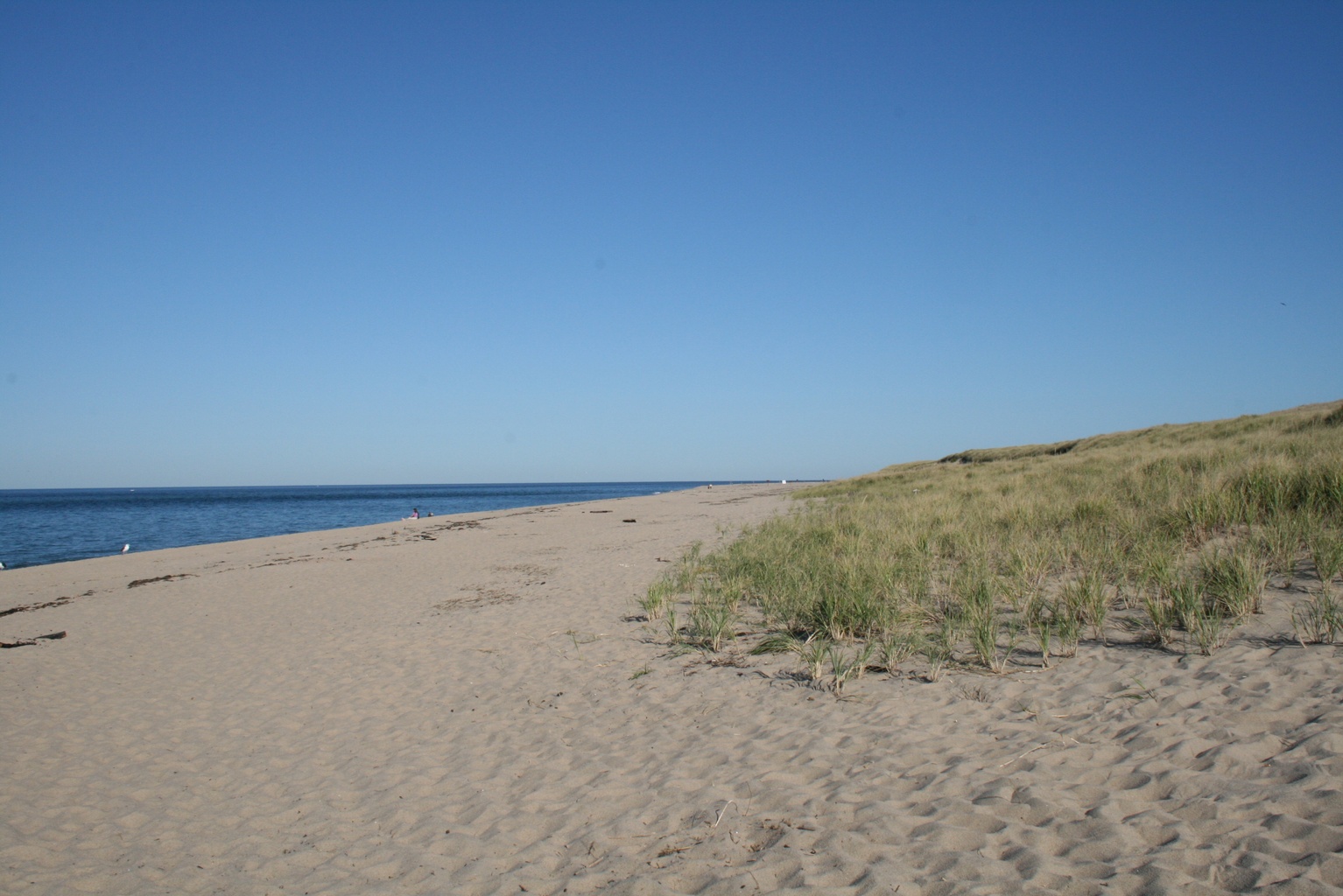 Race Point Beach