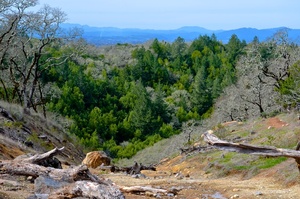Annadel State Park