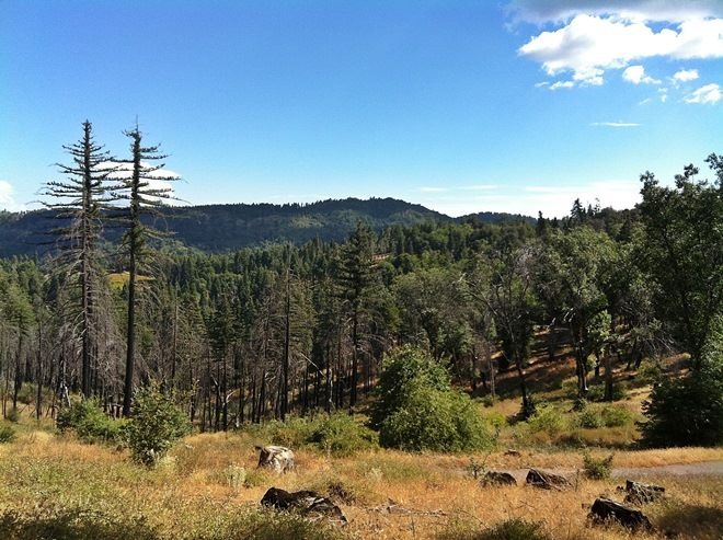 Palomar Mountain State Park
