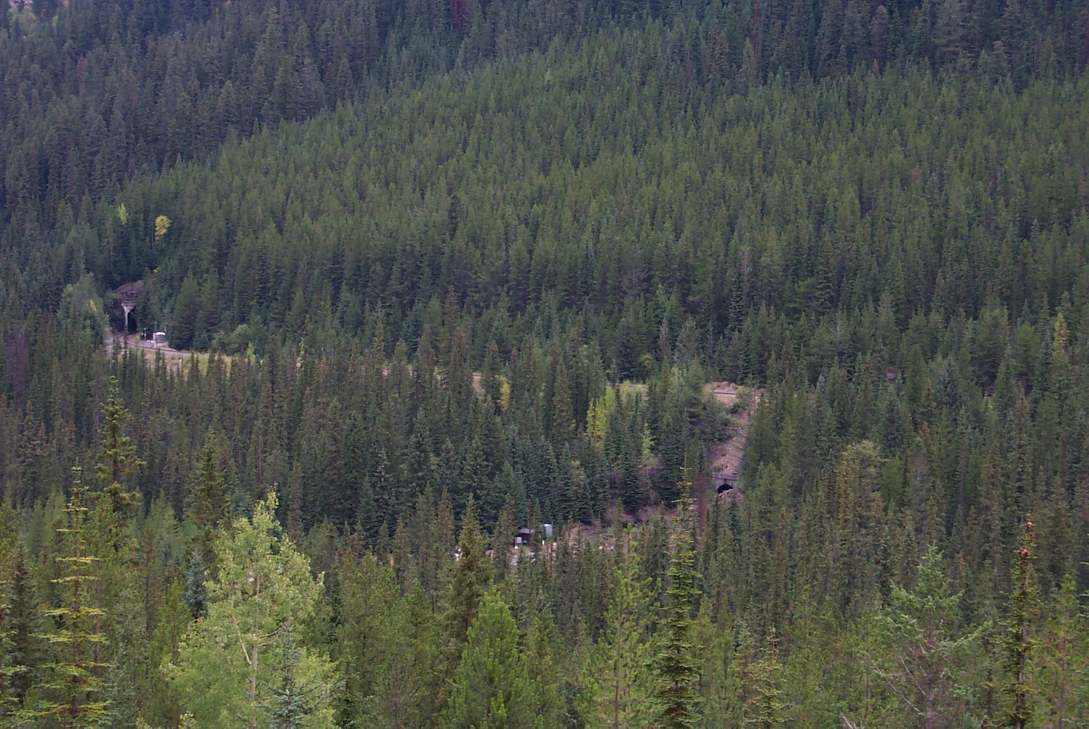 Kicking Horse Pass National Historic Site