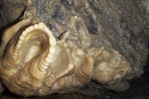 Rat's Nest Cave