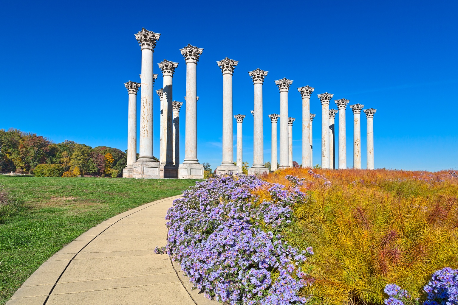 United States National Arboretum