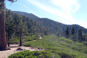 Smith Spring Trail (Manzanita Spring)
