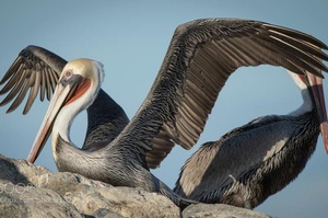 Moss Landing