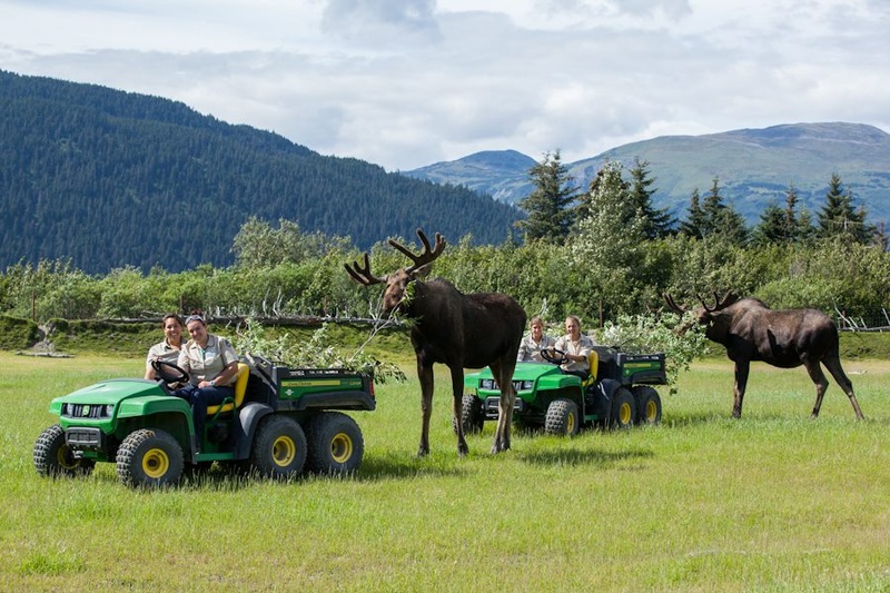 Alaska Wildlife Conservation Center