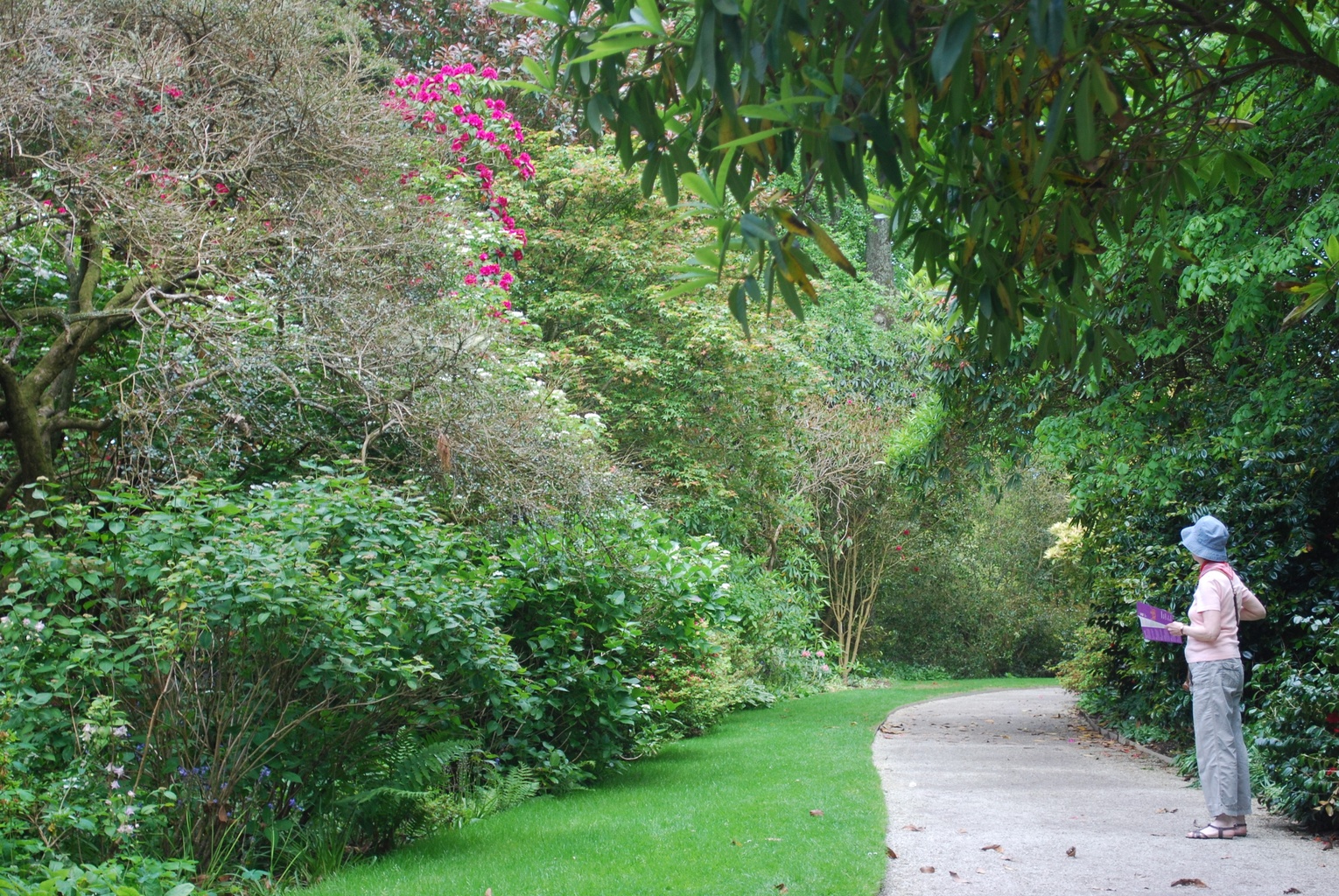 Trelissick Garden