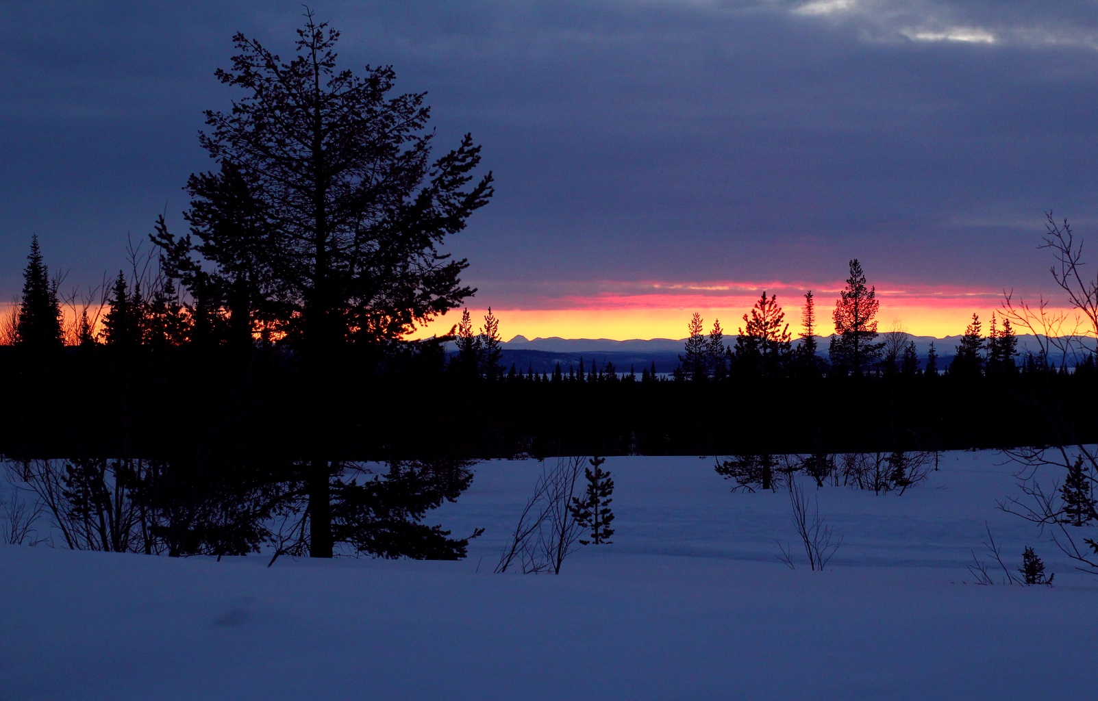 Muddus National Park