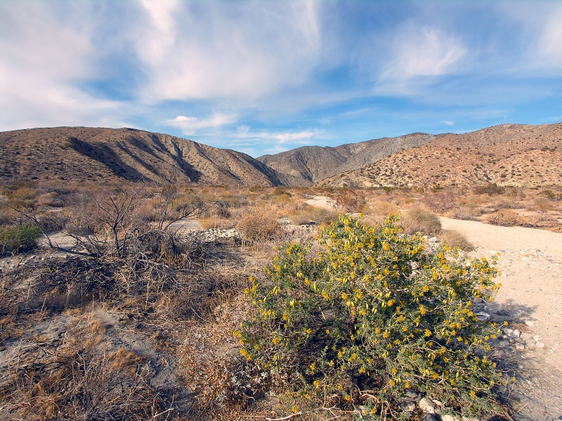 Big Morongo Canyon Preserve