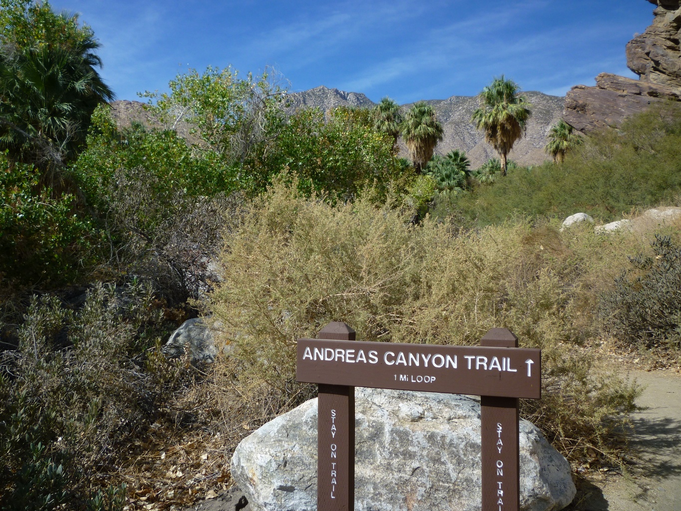 Andreas Canyon Trail