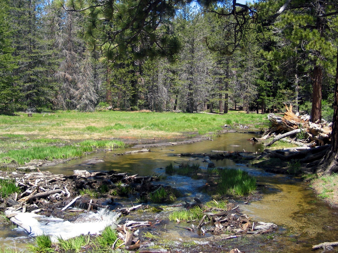 Long Valley Discovery Trail