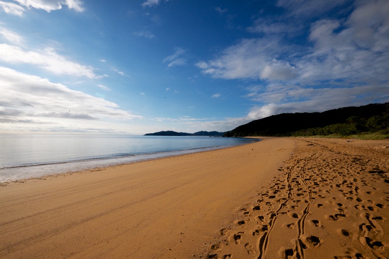 Totaranui Beach
