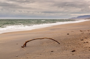 Haast Beach