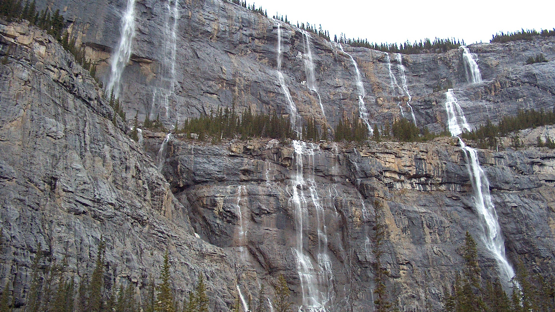 Weeping Wall (Alberta)
