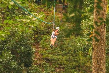 Extreme Adventure: Zip Line, Rappel, UTV, Indoor Skydiving, Waterslide ...