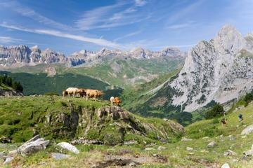 Pyrenees Mountains Private Day Trip from Barcelona