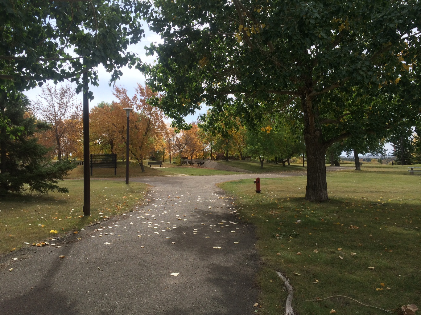 Strathcona Science Provincial Park