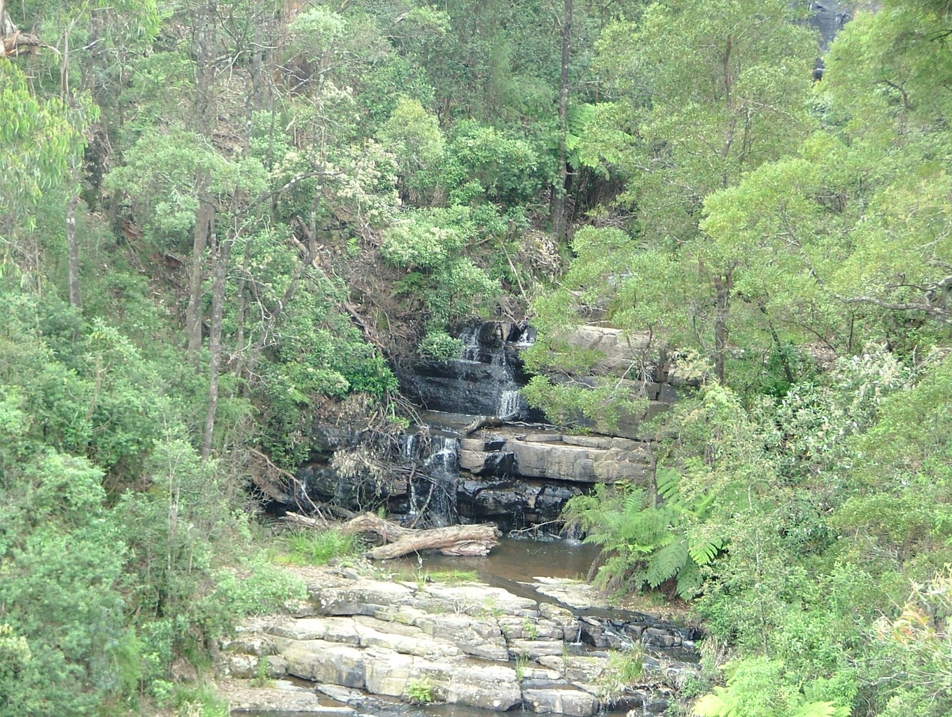 Kinglake National Park