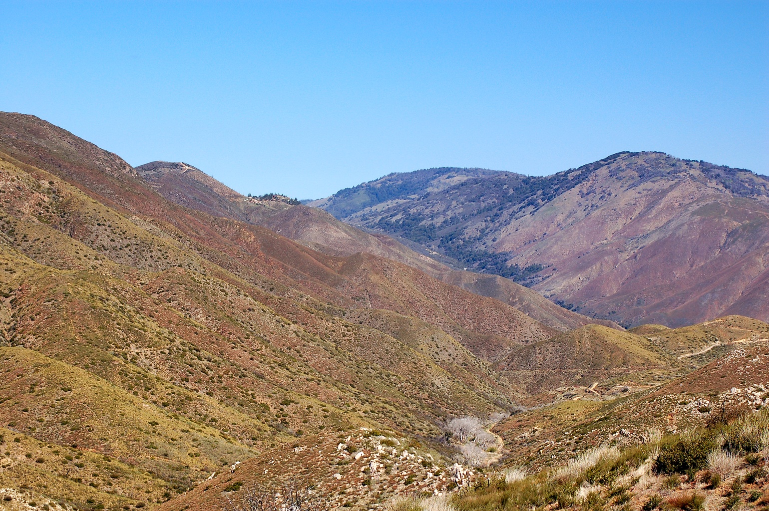 Volcan Mountain Wilderness Preserve