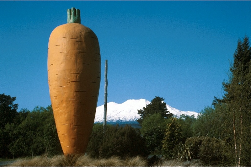 The Big Carrot