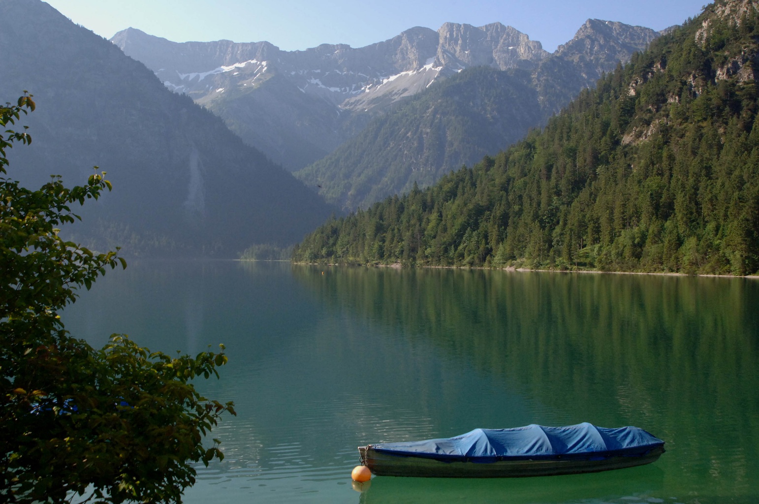 Plansee