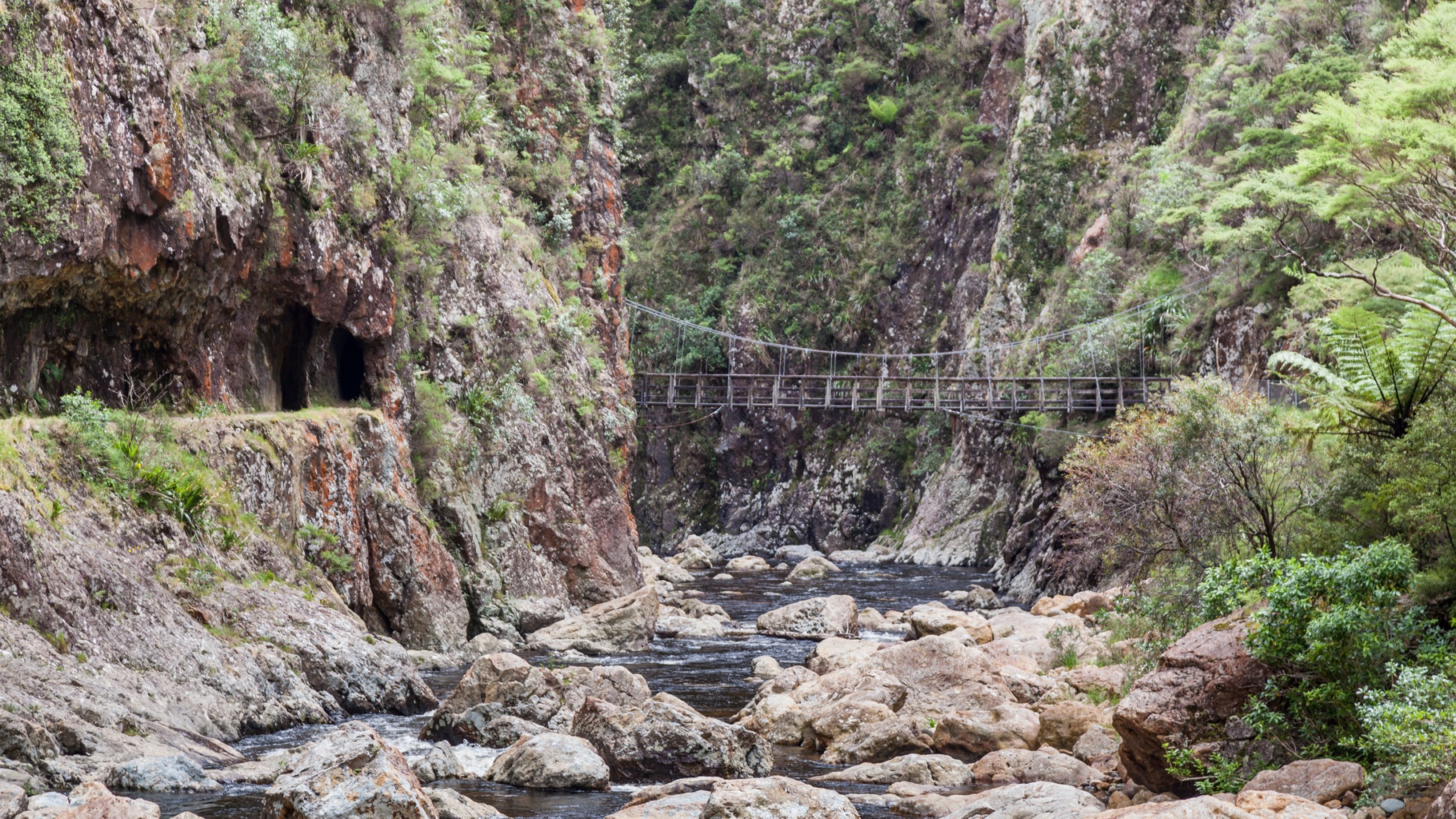 Karangahake Gorge Historic Walkway