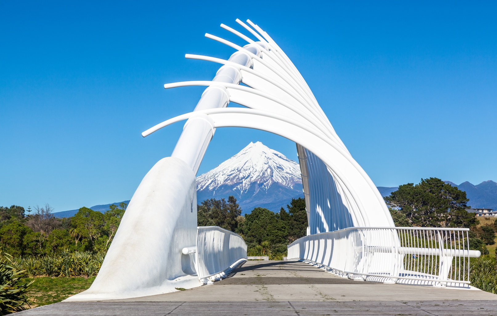 Te Rewa Rewa Bridge