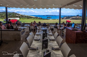 Cable Bay Vineyard