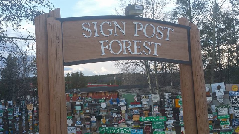Sign Post Forest
