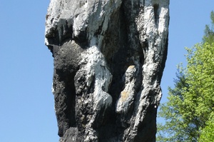 Maczuga Herkulesa