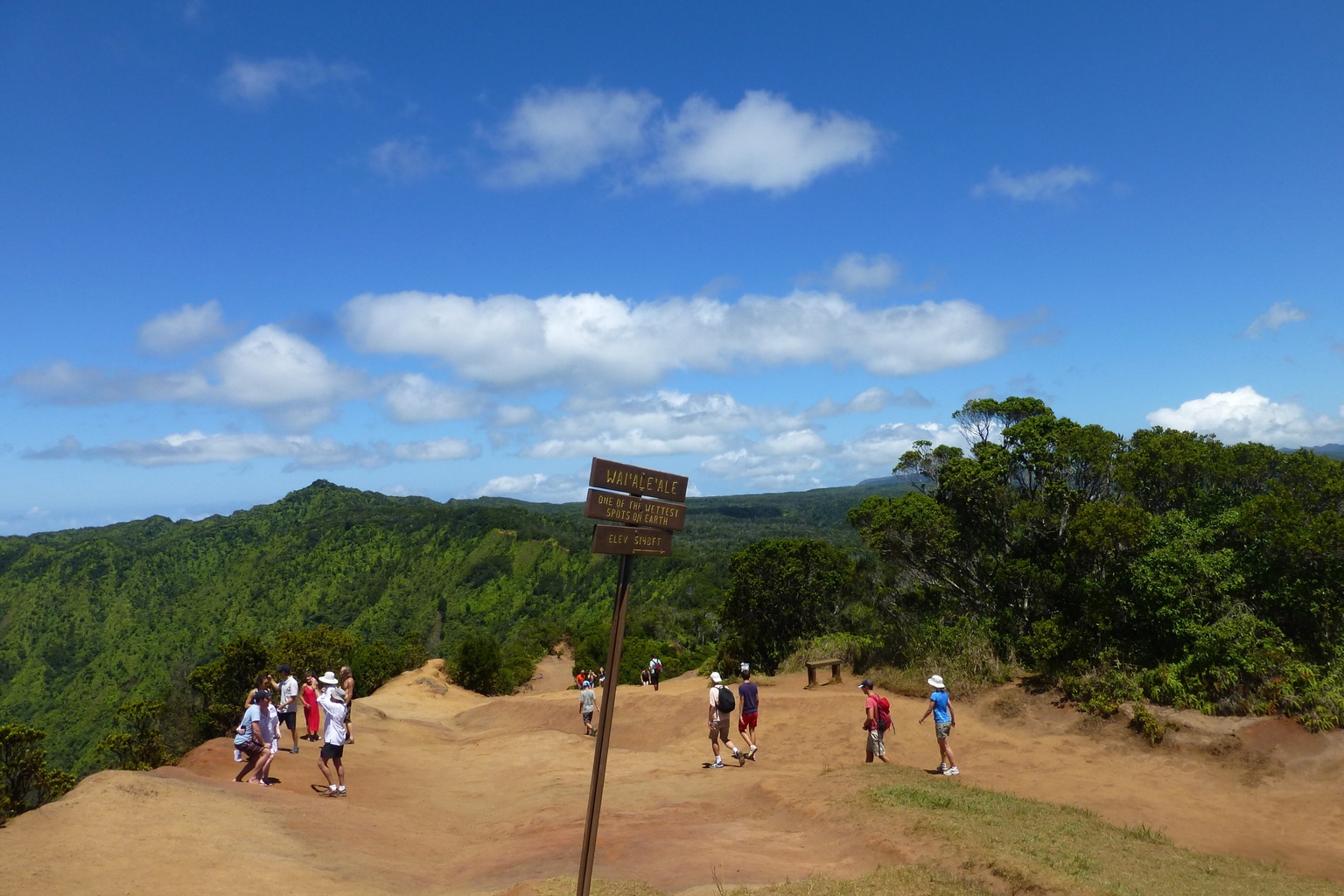 Pihea Trail & Alaka'i Swamp Trail