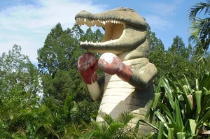 The Big Boxing Crocodile