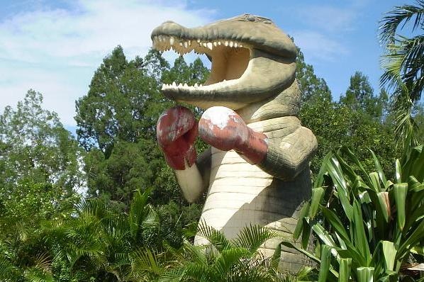 The Big Boxing Crocodile